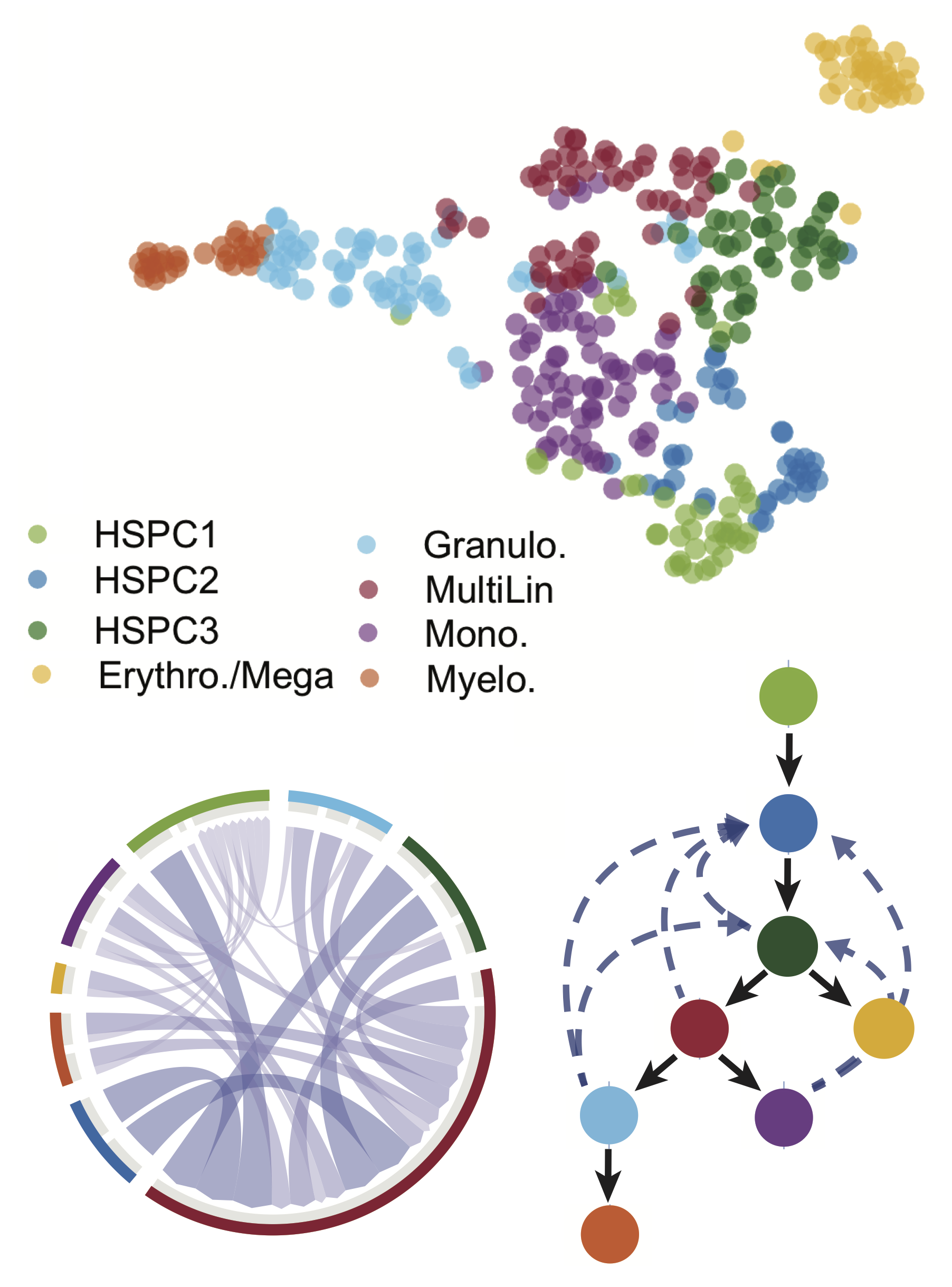 Research | MacLean Lab